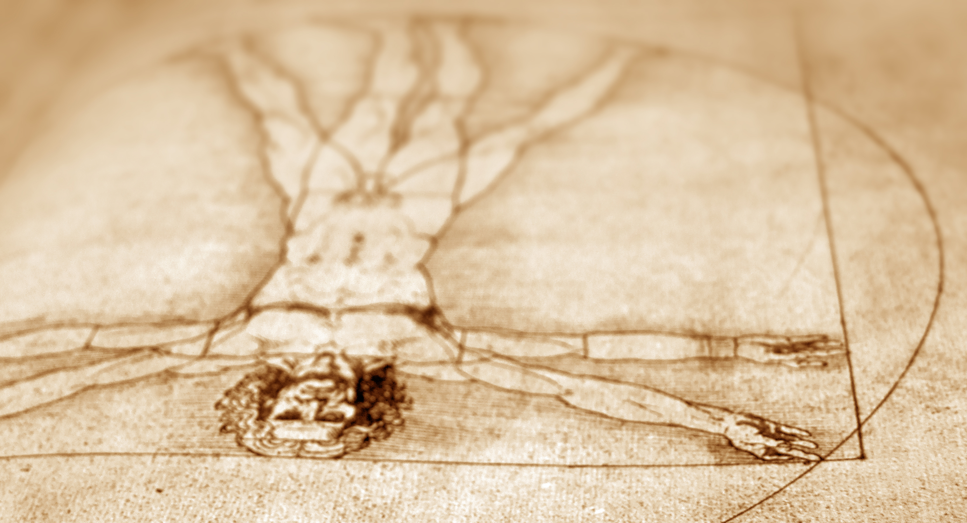 Essentials of Humanism | UU World Magazine